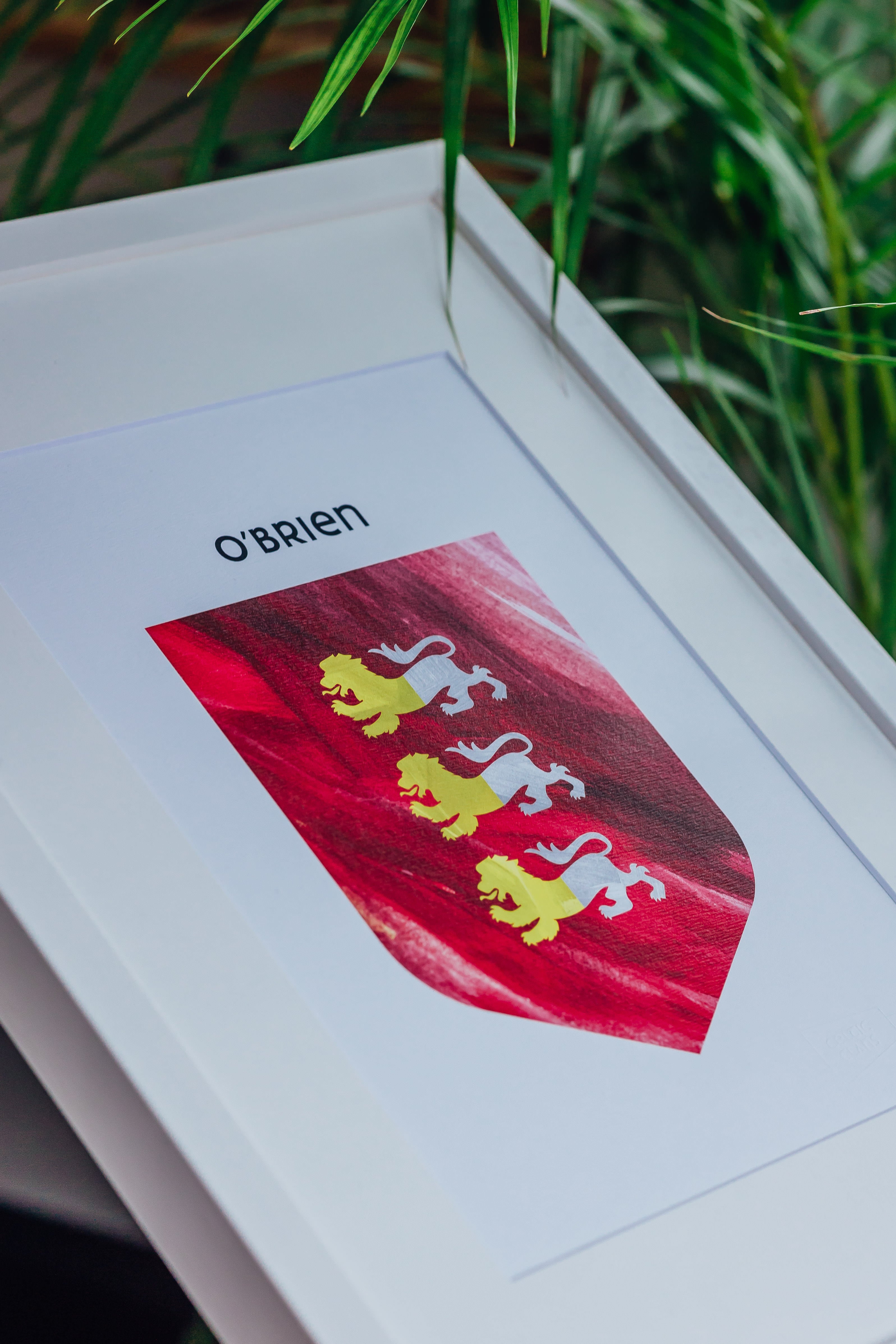 Irish family crests explained – Celtic Clans